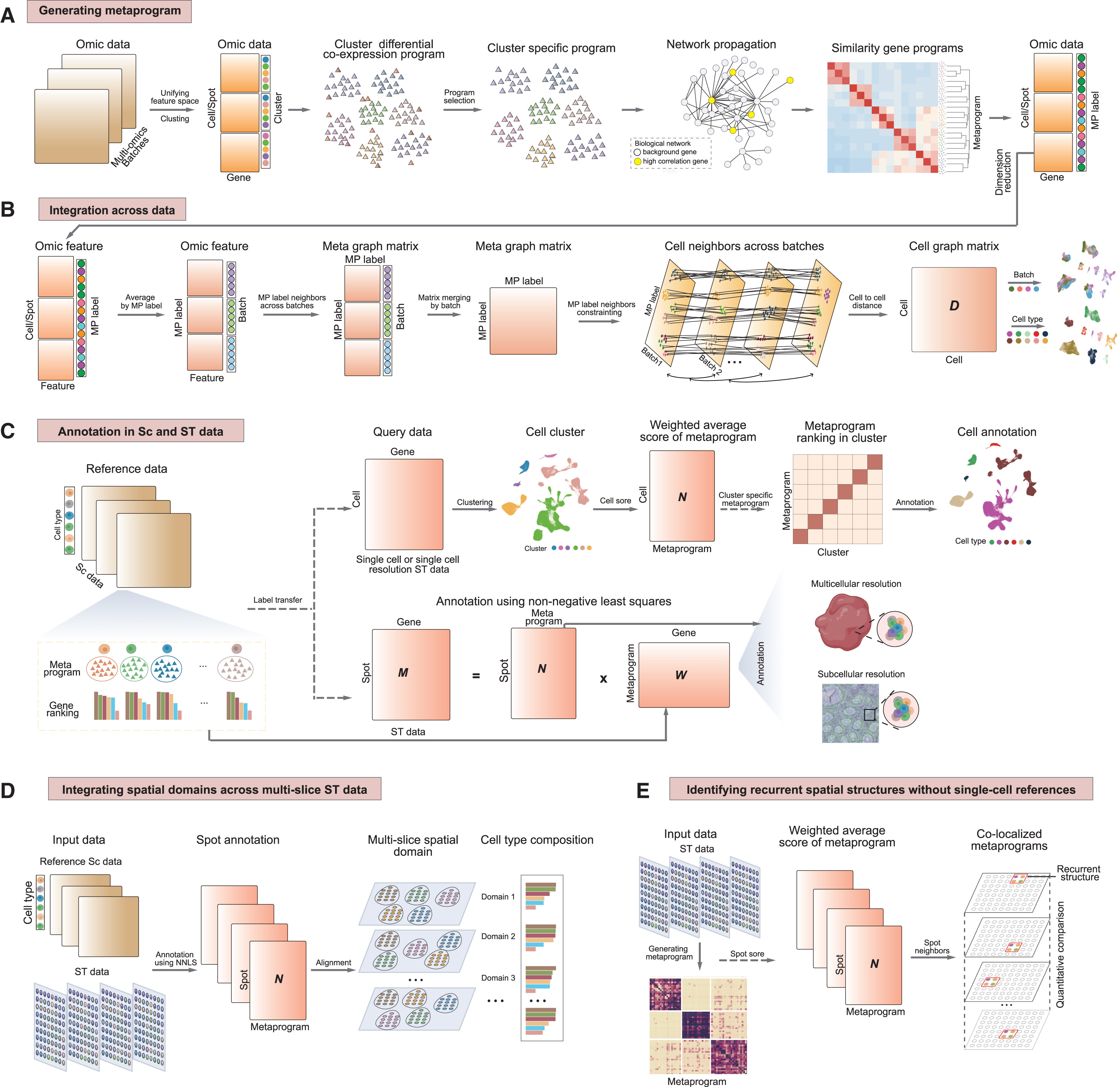 Cell Genomics | Dijun Chen's Team Develops SSpMosaic: A Universal ...